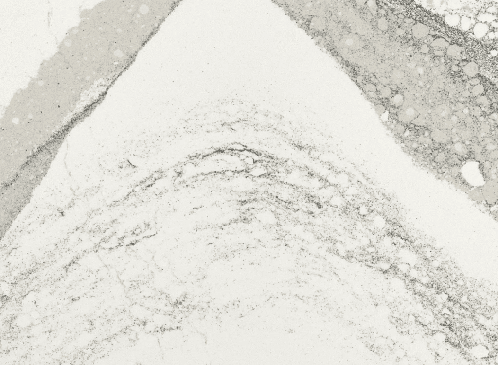 Southport Quartz - Great Lakes Granite & Marble